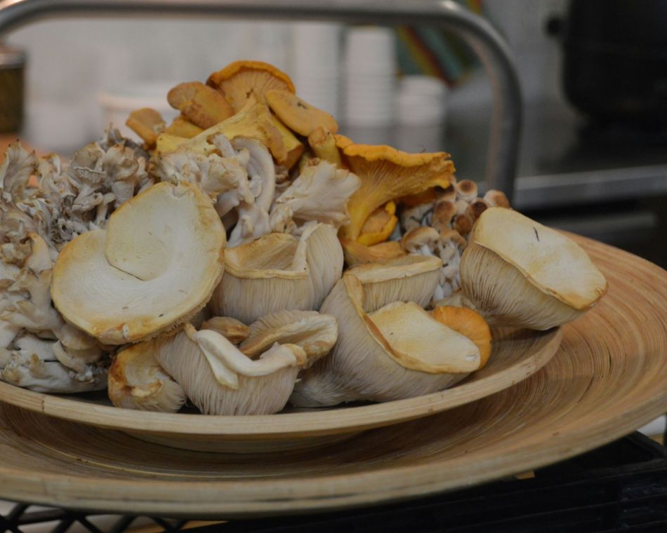 NaturNext • Régime alimentaire : Comment introduire les champignons ...
