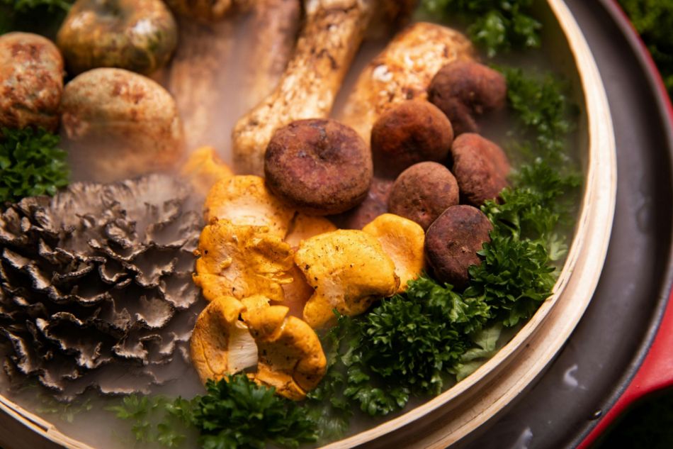 NaturNext • Leber und Pilze – Leberentgiftung mit Reishi und Maitake